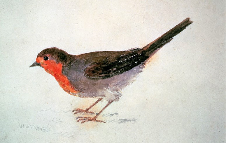 Masseria Ruezzu – Natura del Litorale di Ugento